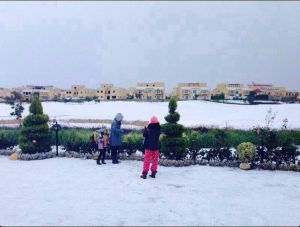 Egypt’s White December: First Snowfall in Cairo in 100 Years | Egyptian ...