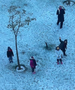 Egypt’s White December: First Snowfall in Cairo in 100 Years | Egyptian ...