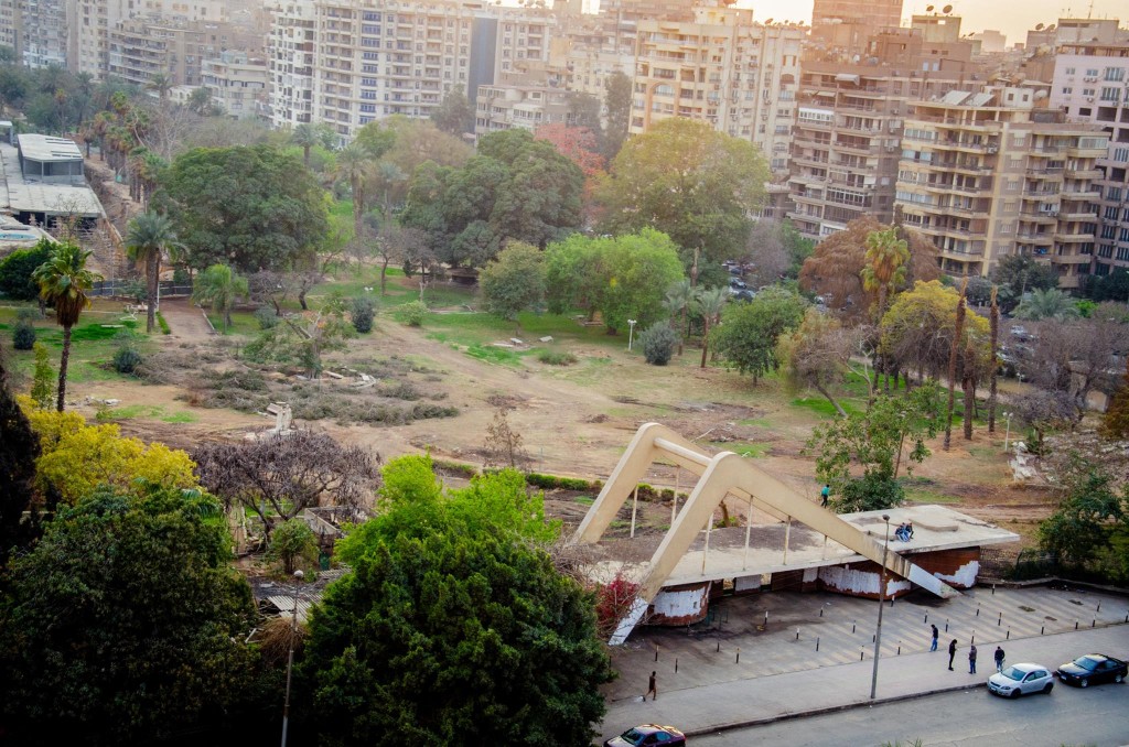 ‘Tree Massacre’ At One Of Egypt’s Oldest Parks Sparks Protests ...
