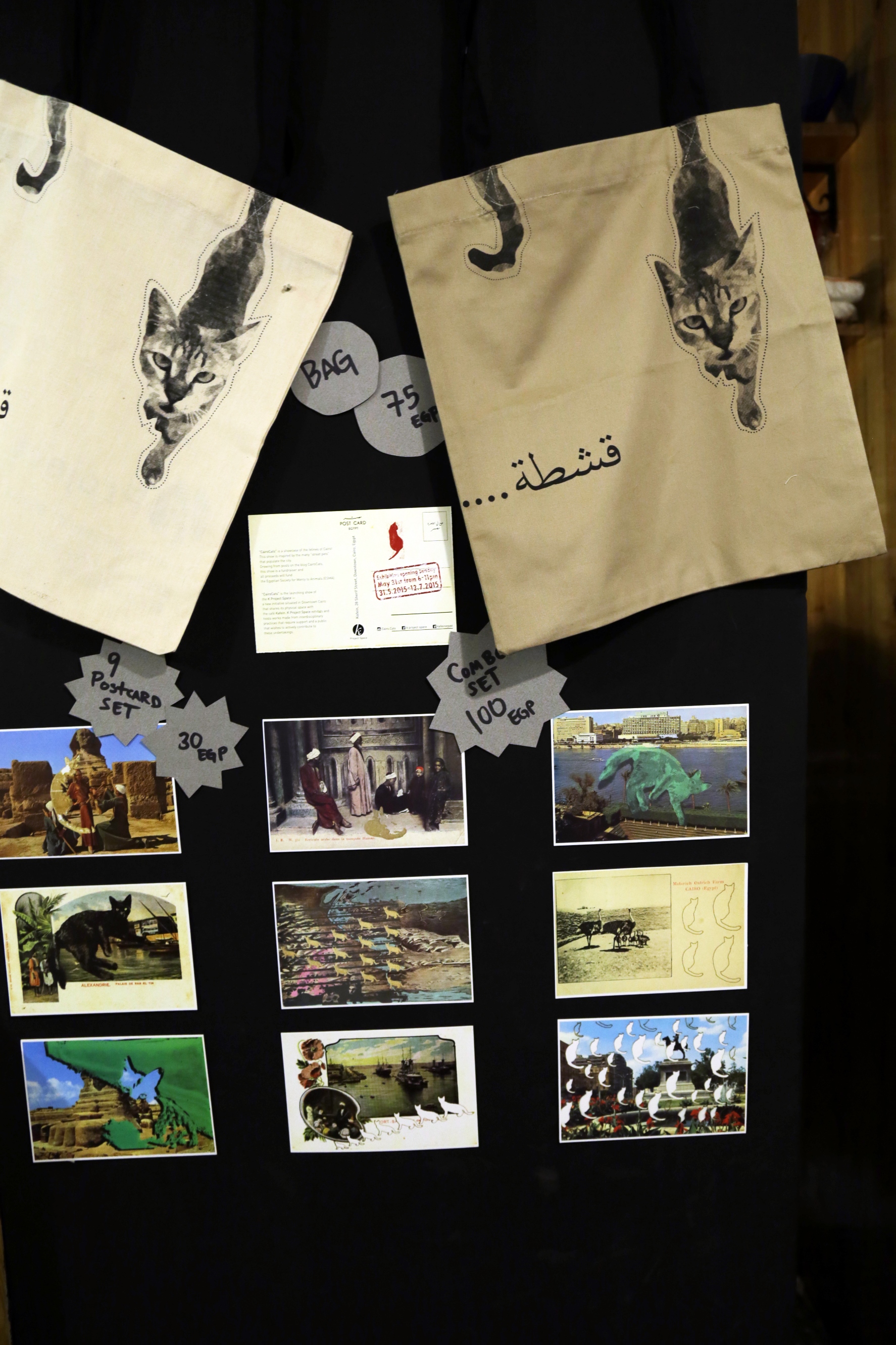 Art Exhibition Raises Awareness and Funds for Cairo’s Street Cats ...