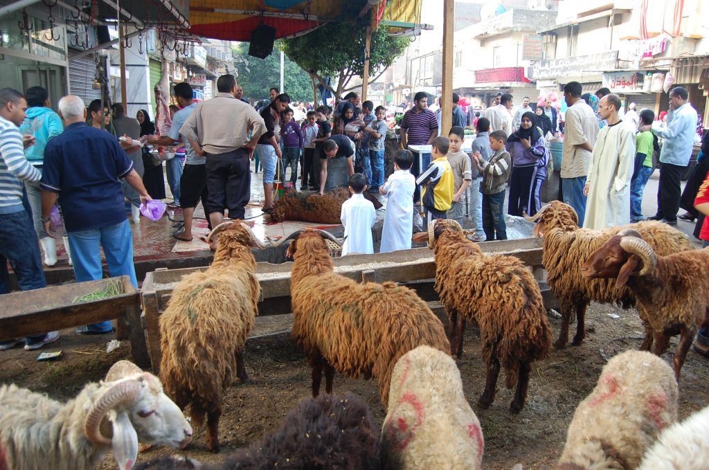 The Ministry of Endowment Advises People to Follow Islamic Law ...