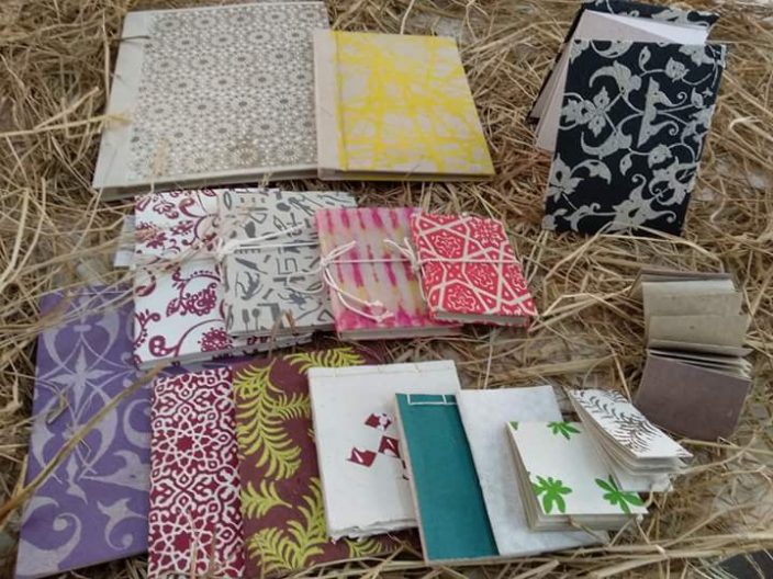 These Egyptian Start-Ups are Saving the Environment | Egyptian Streets