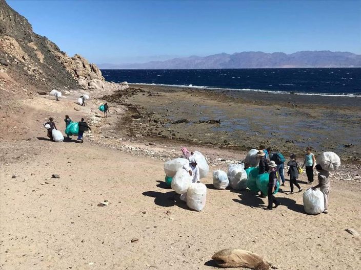 Egypt Organizes Initiative to Clean Up Natural Protectorates | Egyptian ...