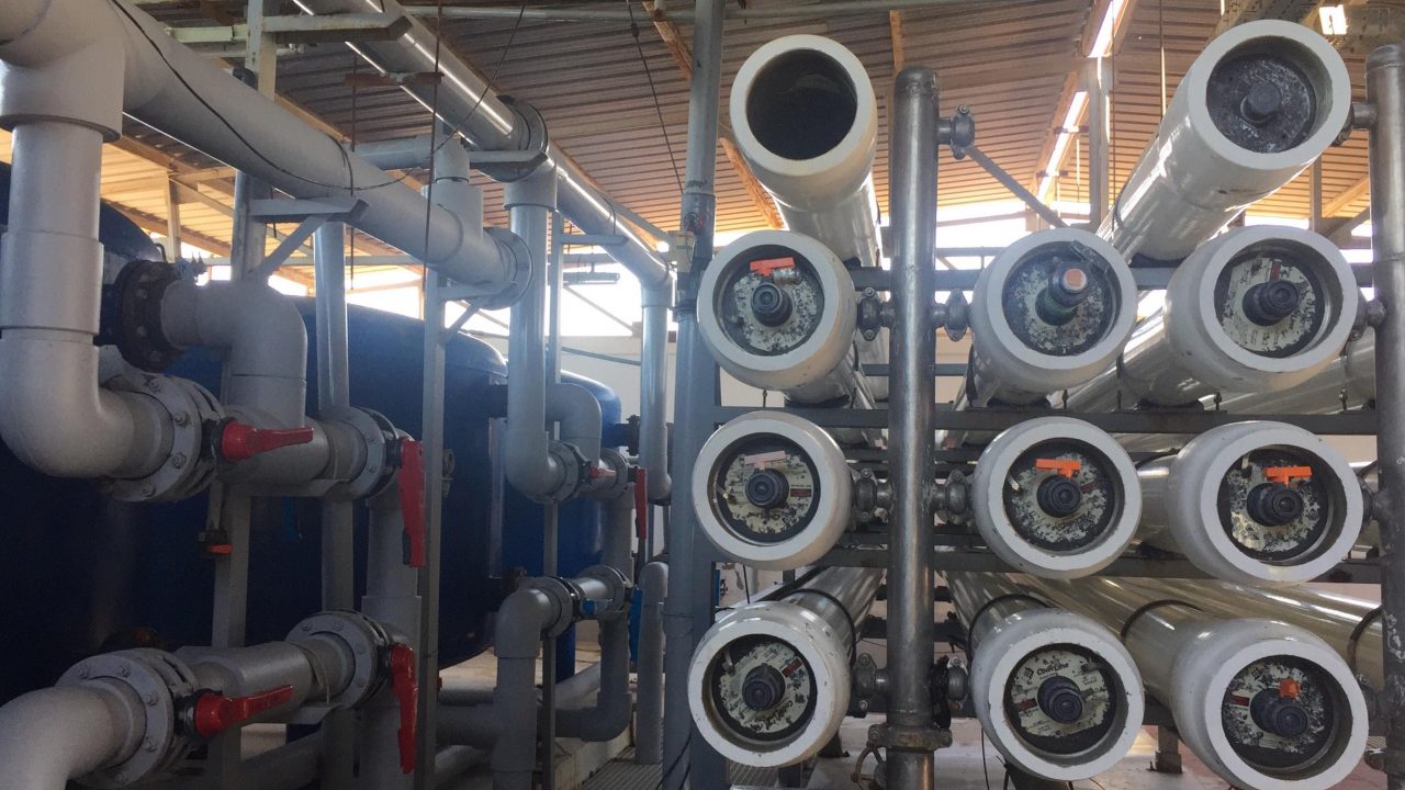 How the Red Sea is Leading Egypt’s Environmental Action | Egyptian Streets