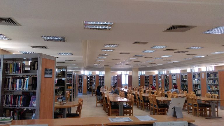 Where Can the Urban Bookworm Go? A Mini Guide to Cairo’s Library ...