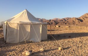 Moonlight by the Mountains: Enchanting Sinai | Egyptian Streets