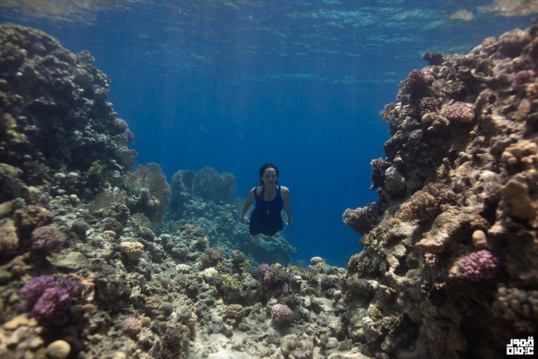 In Photos: Mesmerizing Underwater Scenes Featuring Egypt’s Record ...