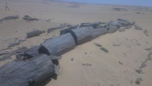 6 Things to Do in Fayoum | Egyptian Streets