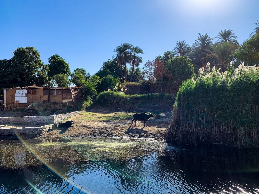Aswan in Pictures: The Egyptian Destination You Should Never Miss ...