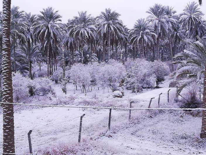 In Pictures: Snow Covers Baghdad for the First Time Since 2008 ...