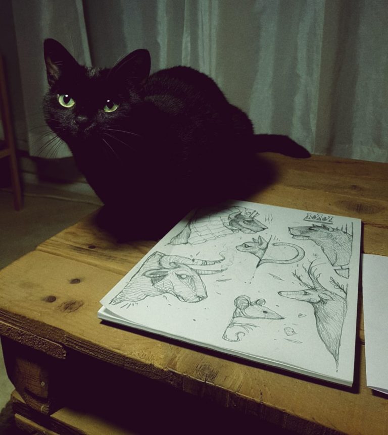 Fluffy Bundles of Joy: Photos and Stories of Adopted Baladi Cats and ...