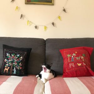 Fluffy Bundles of Joy: Photos and Stories of Adopted Baladi Cats and ...