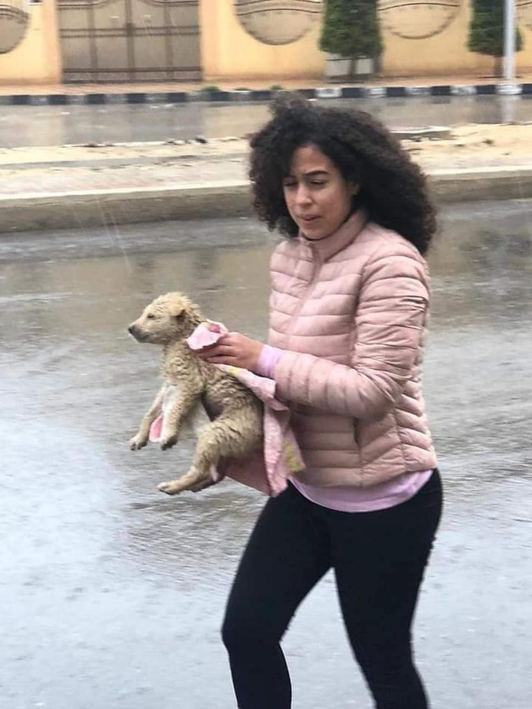 36 Iconic Moments That Define Egypt in 2020 | Egyptian Streets
