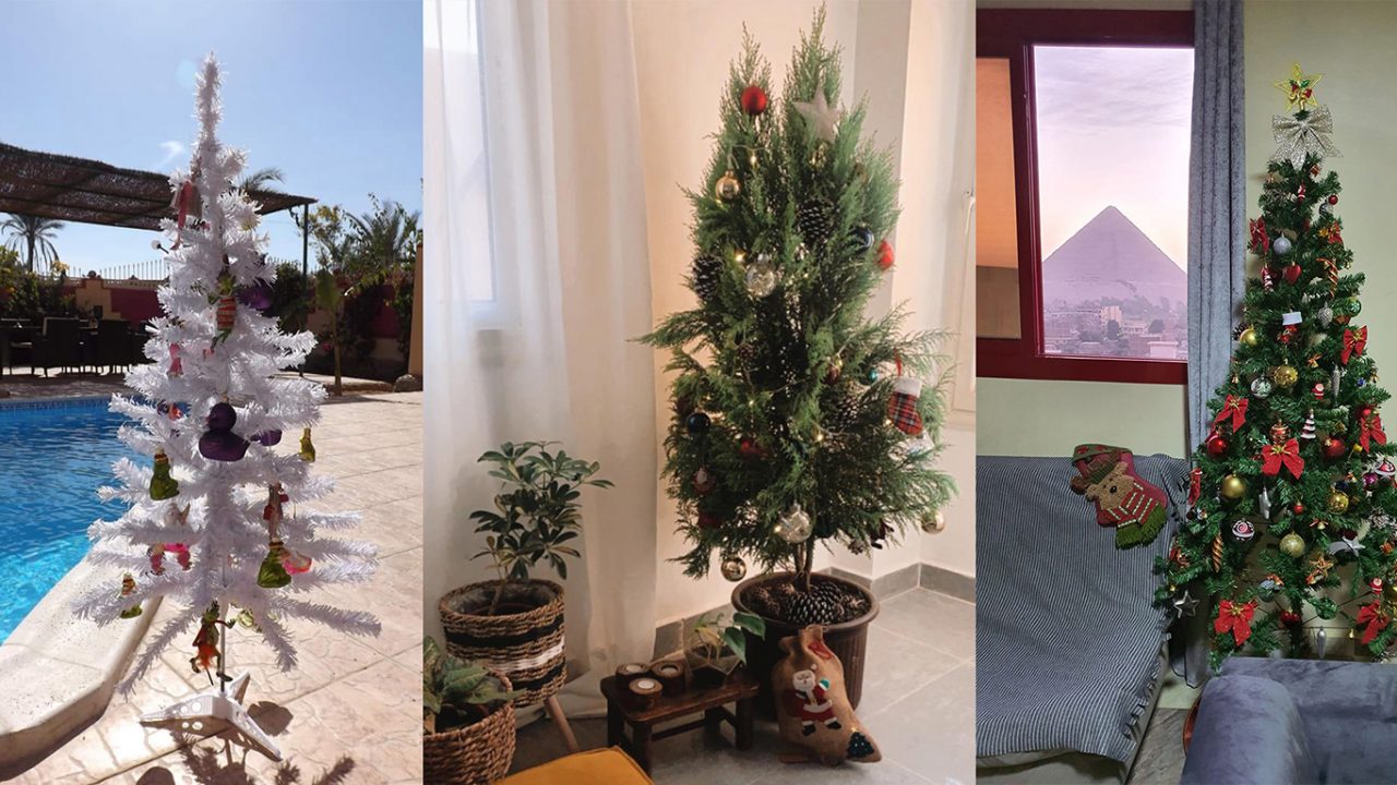 Spreading Holiday Spirit with This Compilation of Christmas Trees in ...