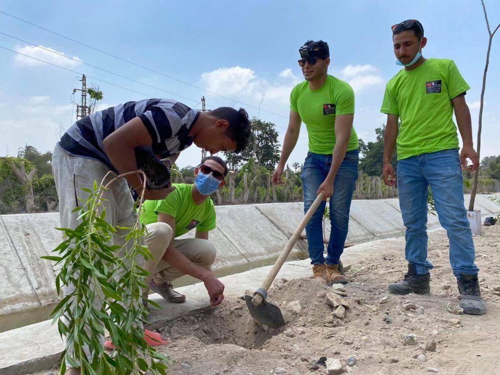 Coptic Church Launches Nation-Wide Tree-Planting Initiative | Egyptian ...