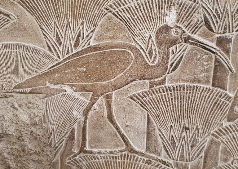 Of Words and Wisdom: Egypt’s Sacred Ibis | Egyptian Streets