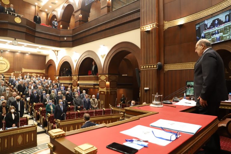 A Quick Guide to How Laws Are Made in Egypt | Egyptian Streets