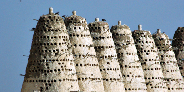 Dovecotes: A Signature of the Egyptian Landscape | Egyptian Streets