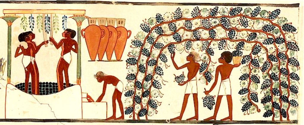 Oaks and Corks: The Brief History of Wine in Egypt | Egyptian Streets