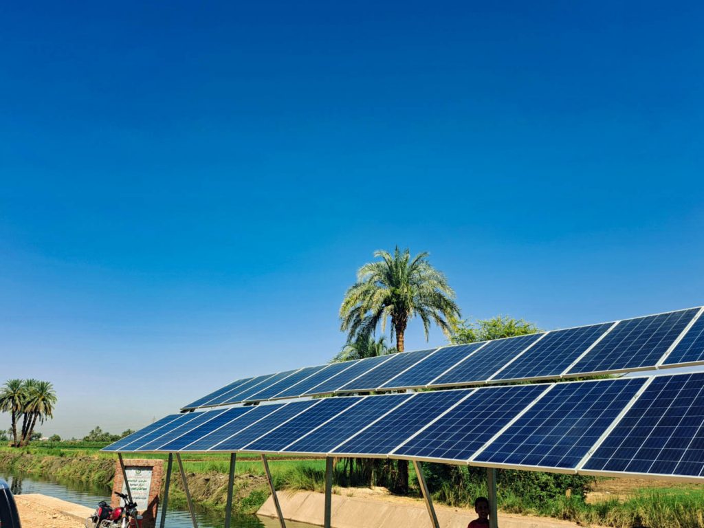 Luxor’s Farmers Instill New Hope for a Climate-Resilient Future in ...