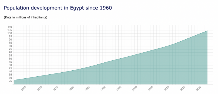 A 750,000 Population Surge in 6 Months: What Does it Mean for Egypt ...