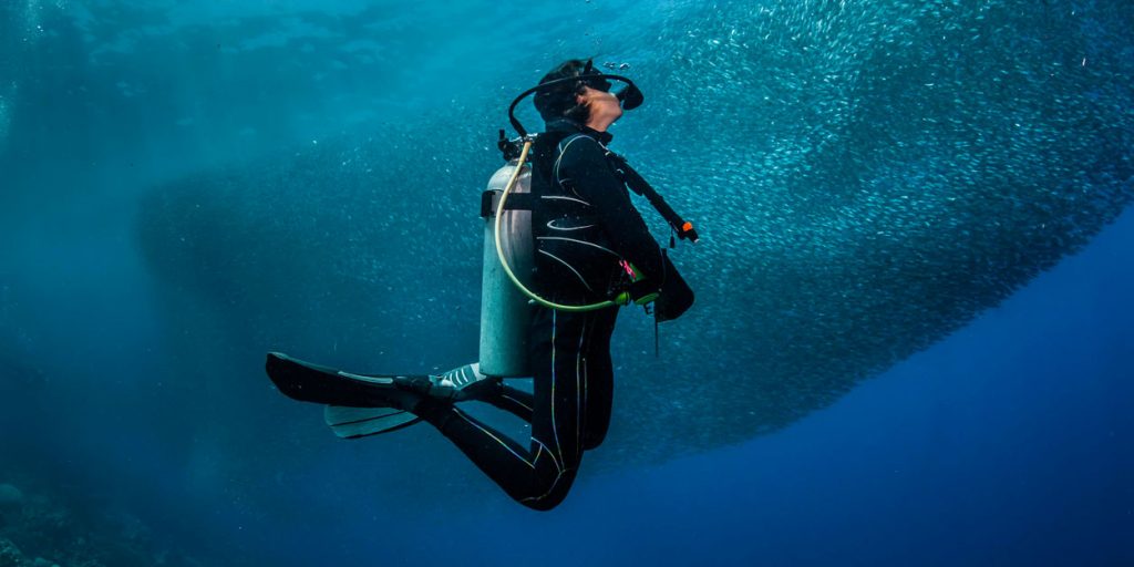 A Whole New World: Egypt’s Unique Scuba Diving Destinations | Egyptian ...