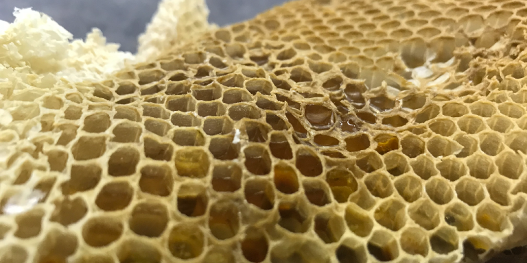 In Photos: Living Among Egyptian Honeybees | Egyptian Streets