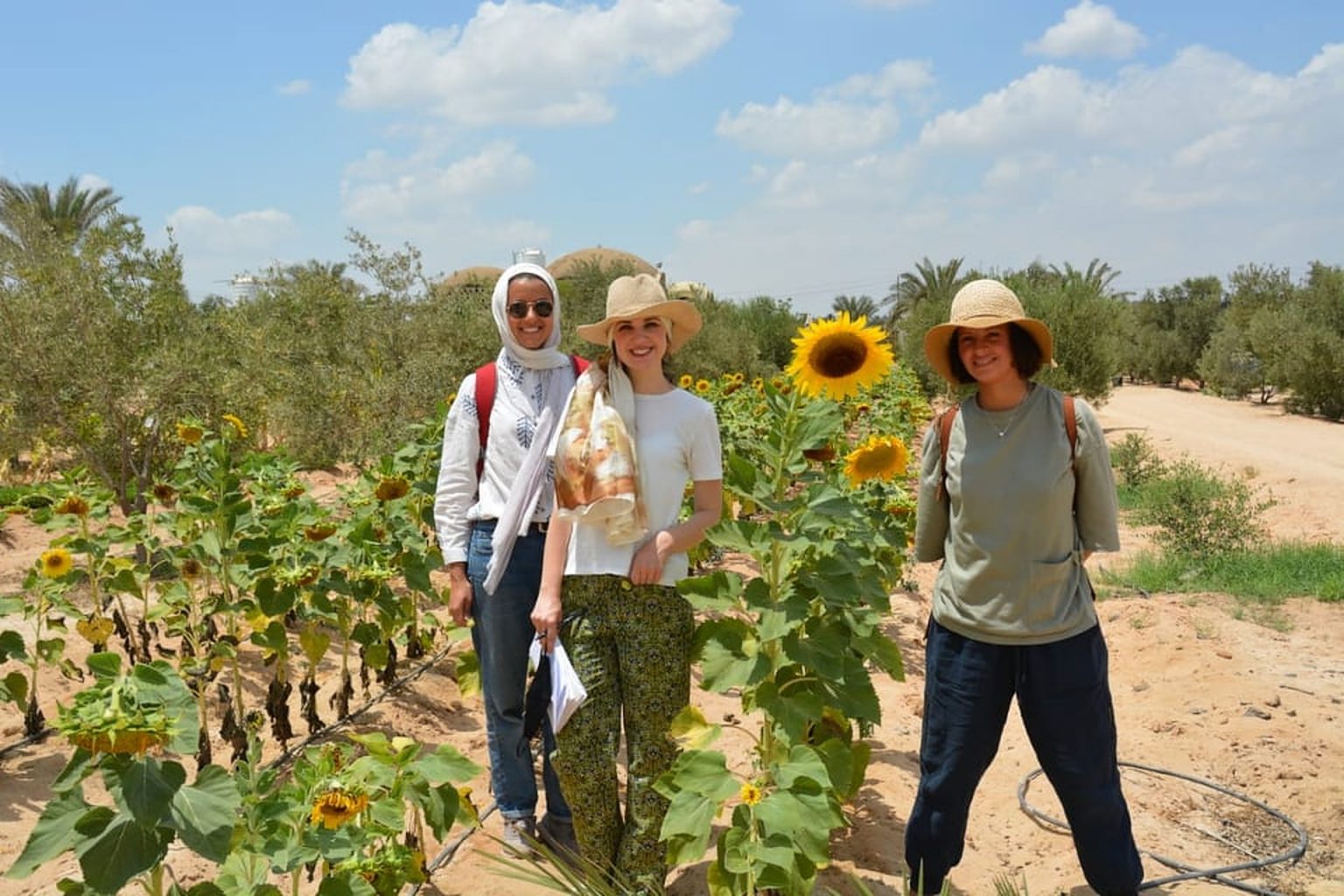 Get Digging: 4 Beautiful Farms to Visit Across Egypt | Egyptian Streets
