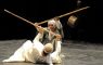 Understanding Tahtib: The Ancient Egyptian Martial Art Turned into ...