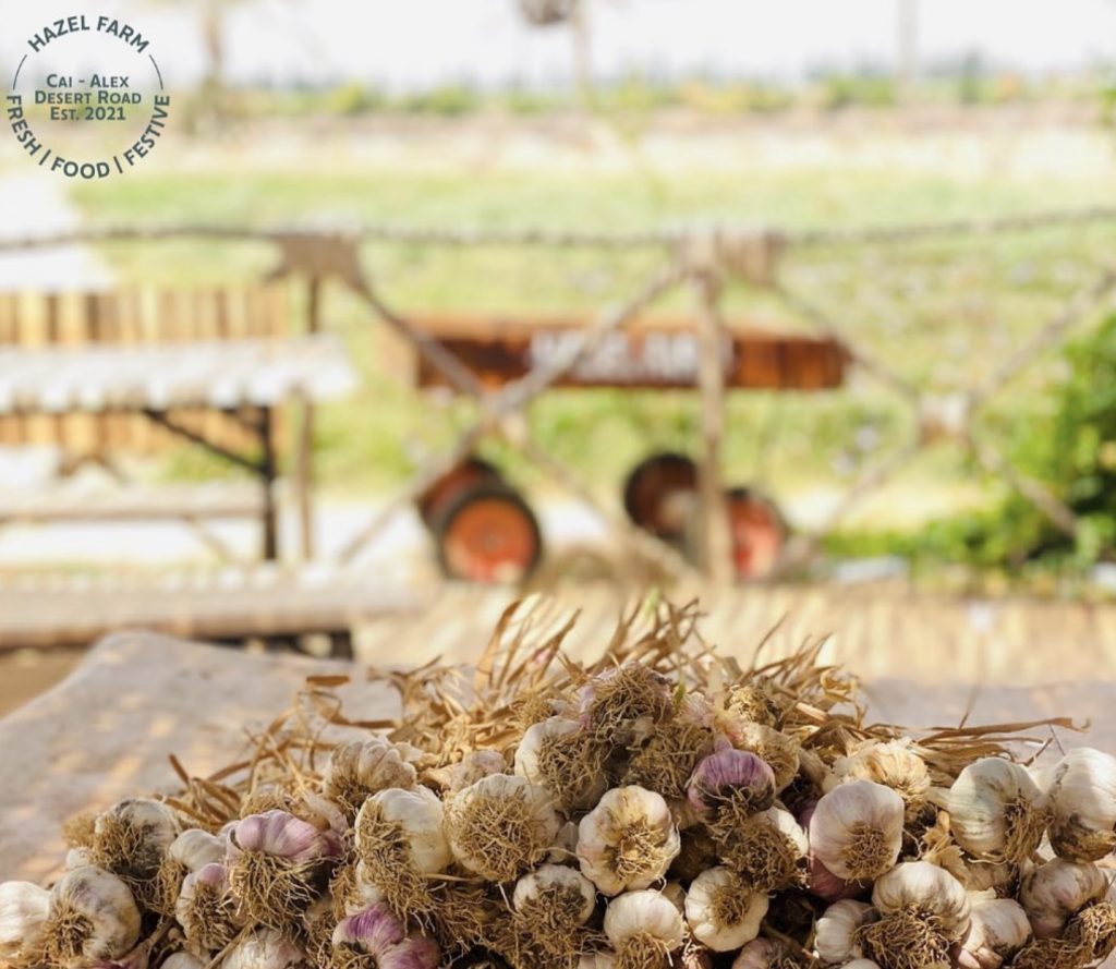 Get Digging: 4 Beautiful Farms to Visit Across Egypt | Egyptian Streets