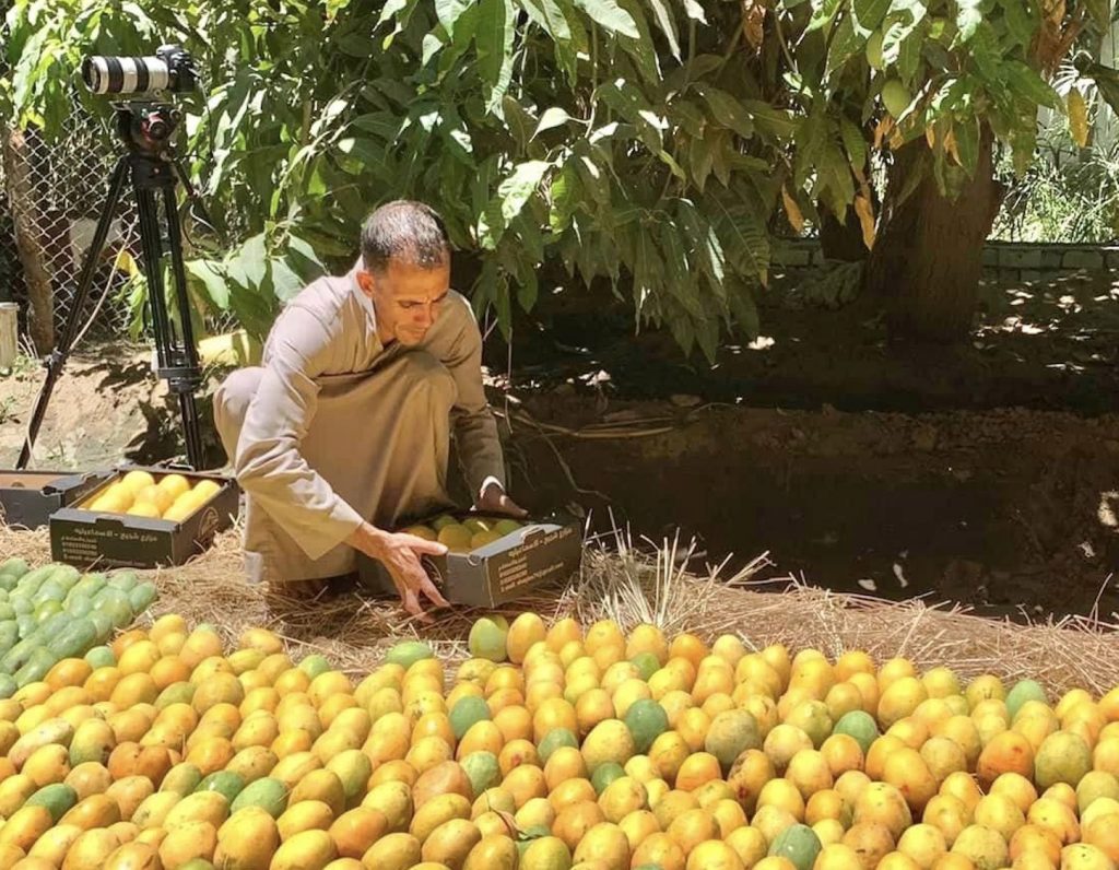Get Digging: 4 Beautiful Farms to Visit Across Egypt | Egyptian Streets