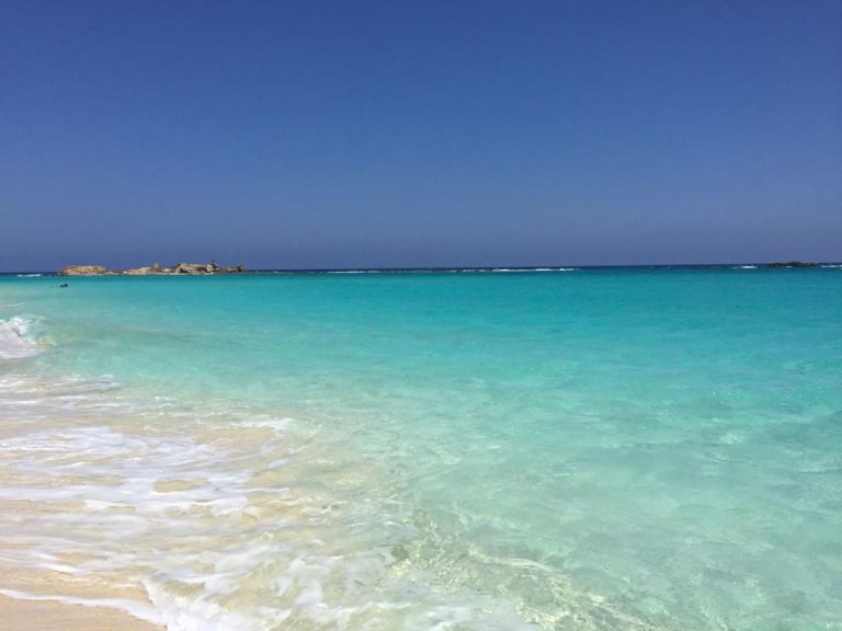 Bagoush – The University Camp Uniting Academics and Students Since 1968 ...