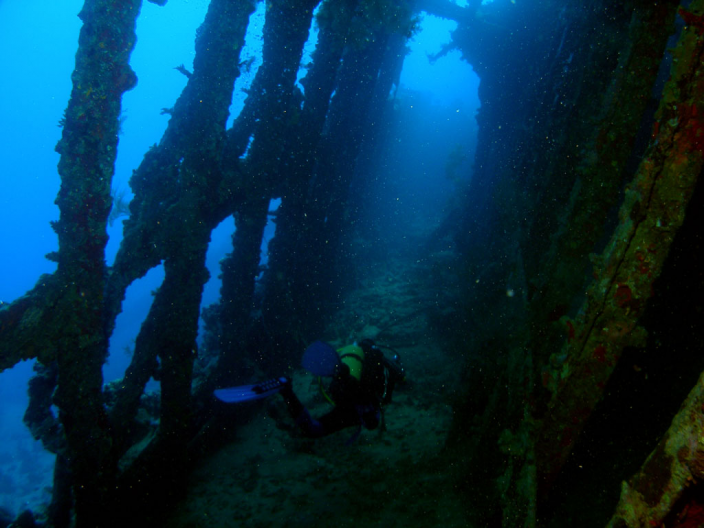 The Shipwrecks of the Red Sea: a Diver’s Paradise | Egyptian Streets