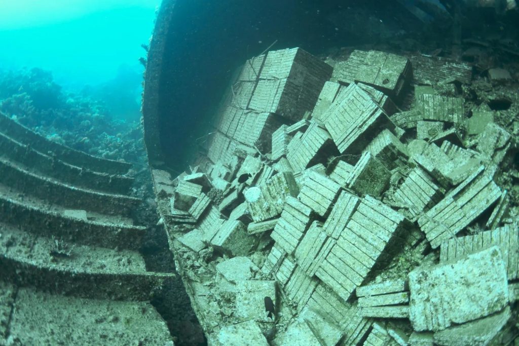 The Shipwrecks of the Red Sea: a Diver’s Paradise | Egyptian Streets