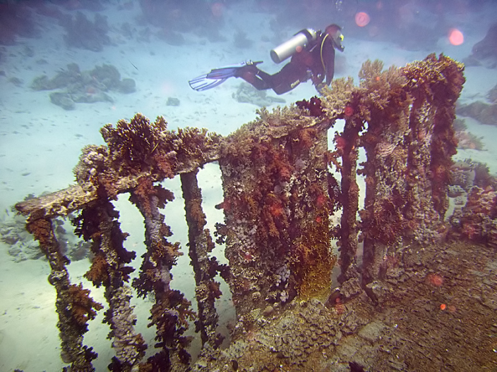 The Shipwrecks of the Red Sea: a Diver’s Paradise | Egyptian Streets