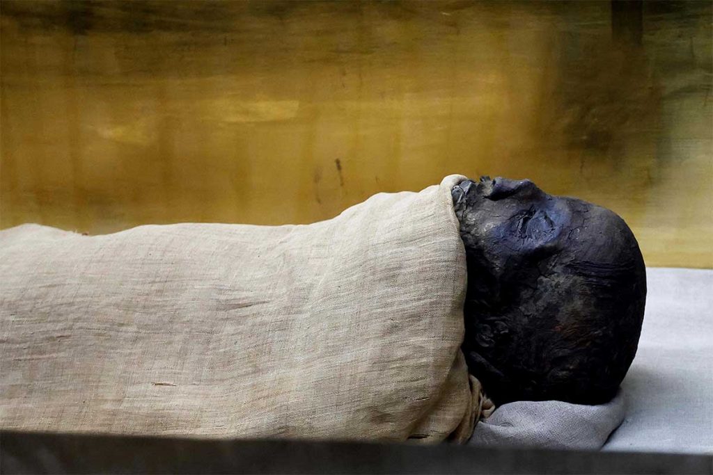 Imhotep Museum Reopens After Restoration at Saqqara Necropolis ...