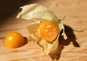 Savoring Egypt: Unique Fruits You Can Only Find Here | Egyptian Streets