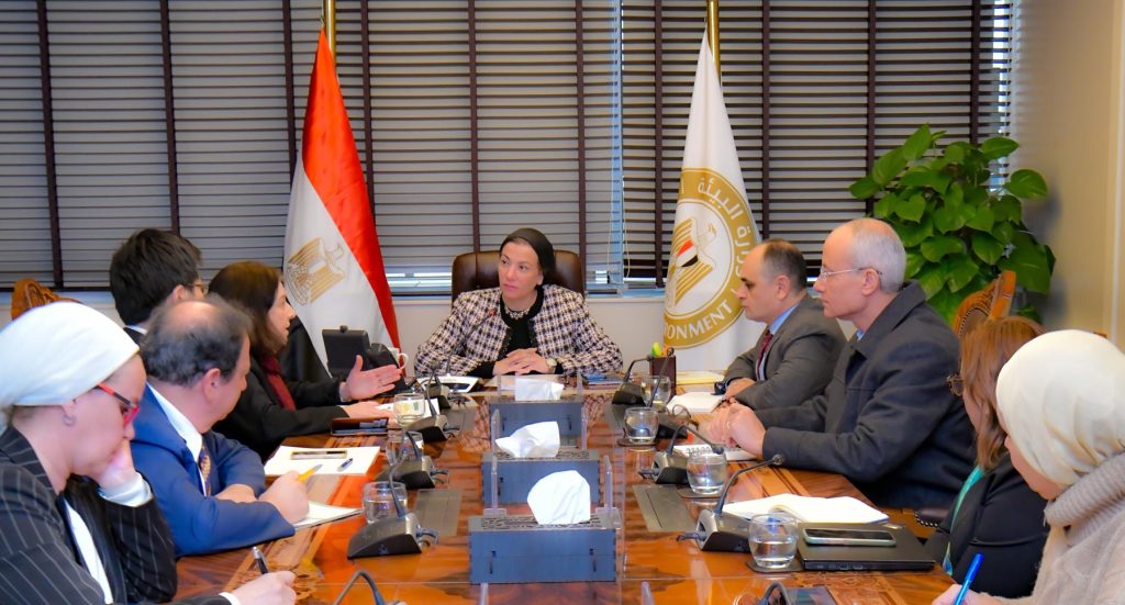 Egypt and China Collaborate on Local Reforestation Projects | Egyptian ...