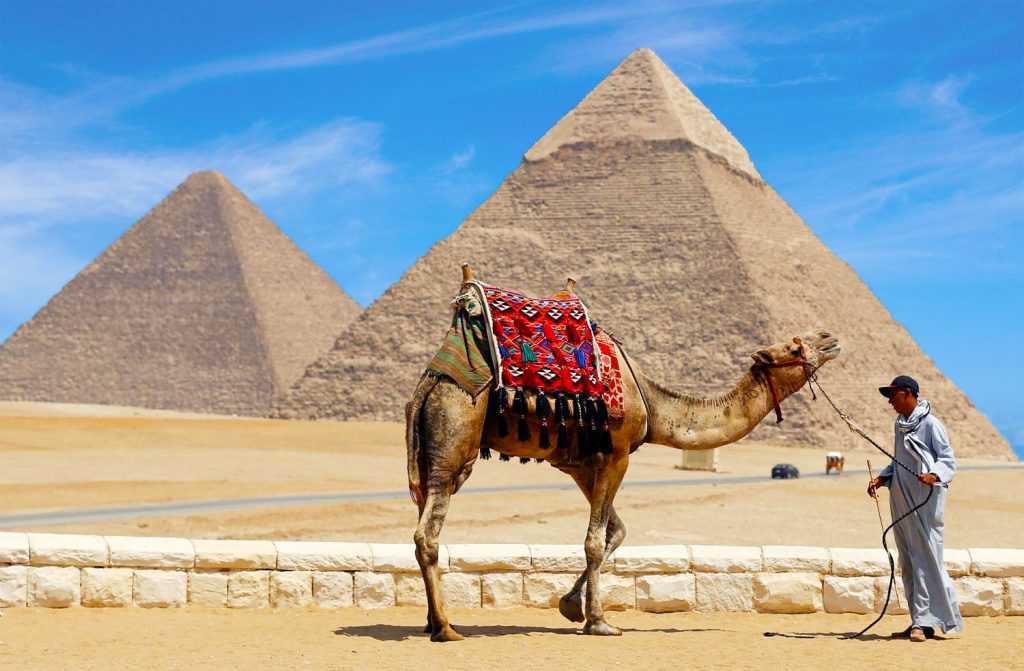 Egypt Introduces Smart Licenses for Tourist Guides | Egyptian Streets